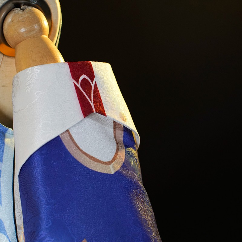 Bailu Cosplay Costumes Honkai Star Rail Halloween Suits